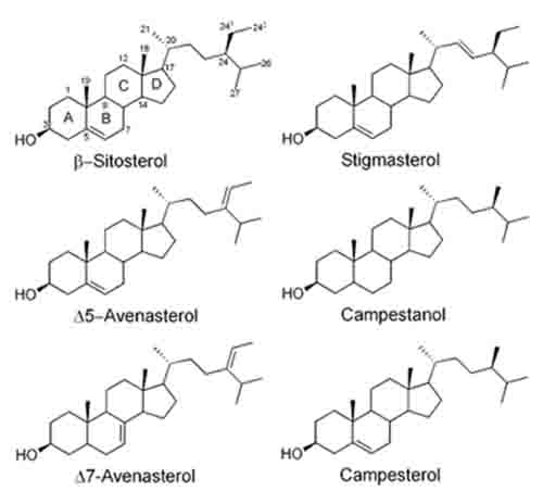Análisis cromatográfico de gases de esteroles vegetales